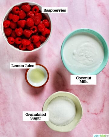 Easy Raspberry Sherbet - Urban Bliss Life