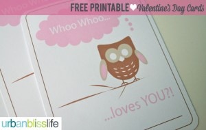 Owl Valentine's Day Cards - Urban Bliss Life