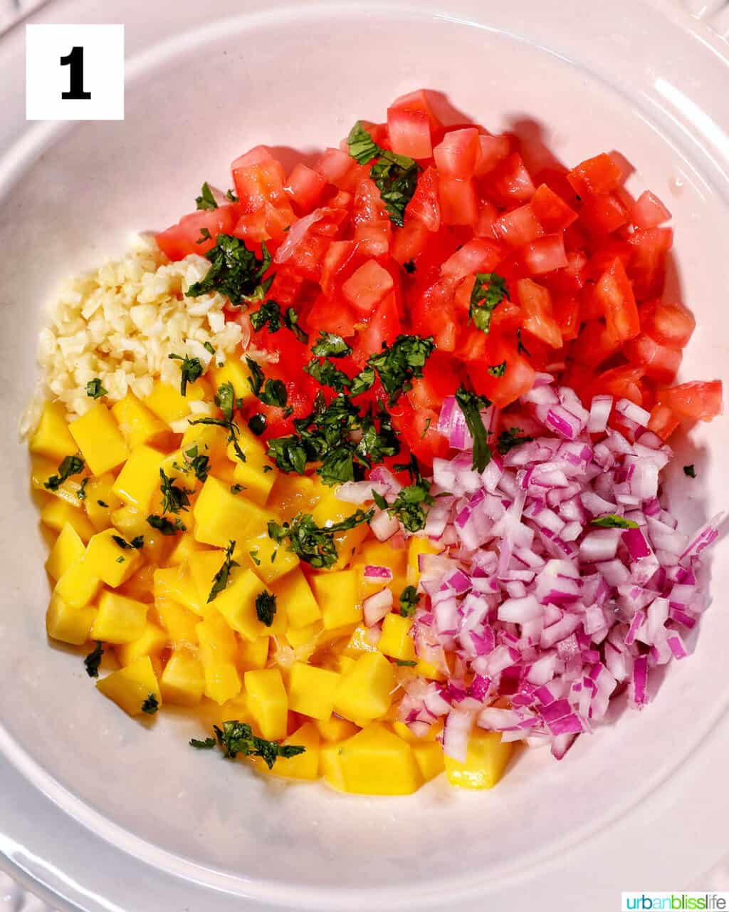 Mango Pico de Gallo - Urban Bliss Life