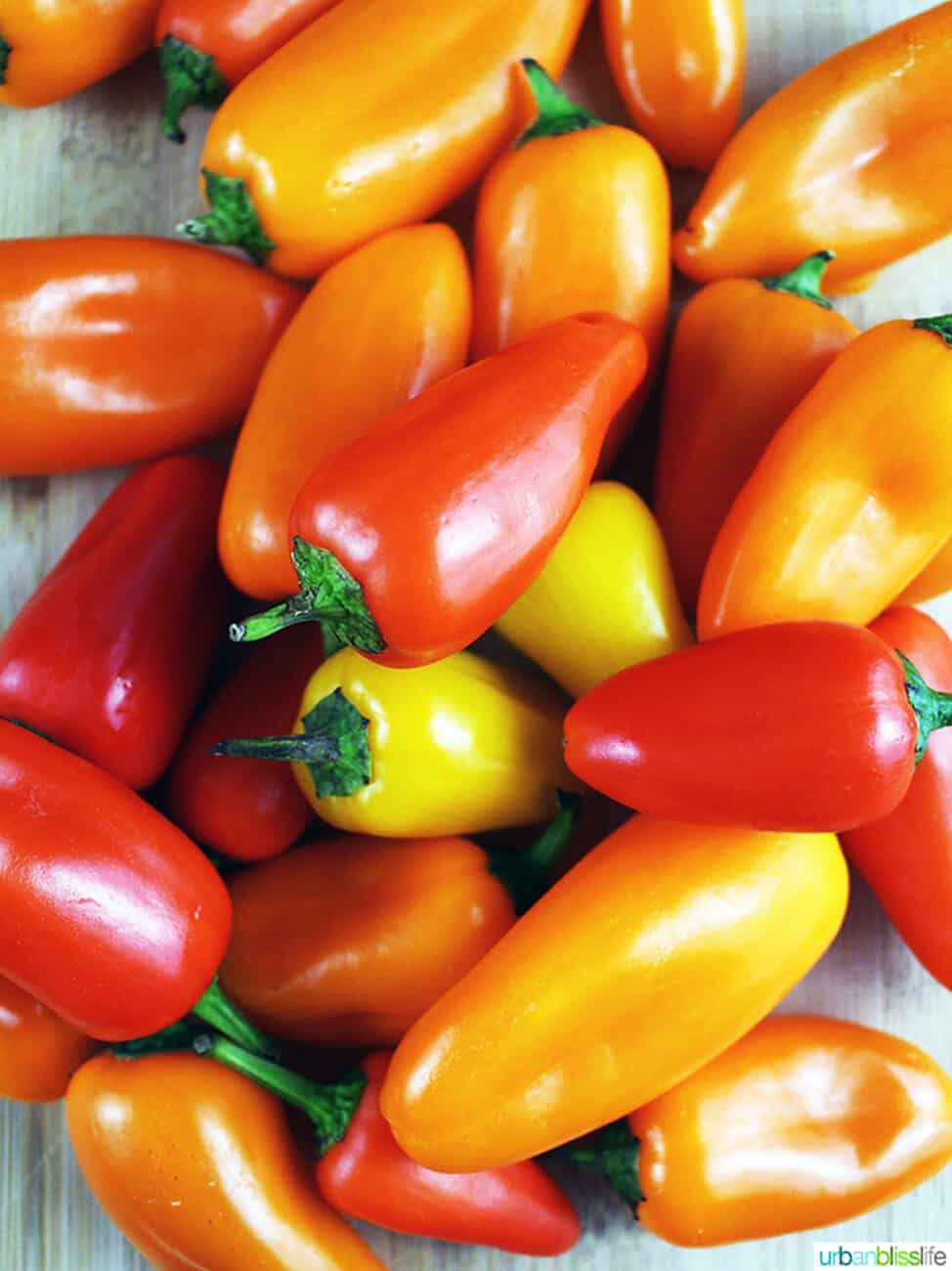 Sweet Chili Dipping Sauce | Recipe on Urban Bliss Life