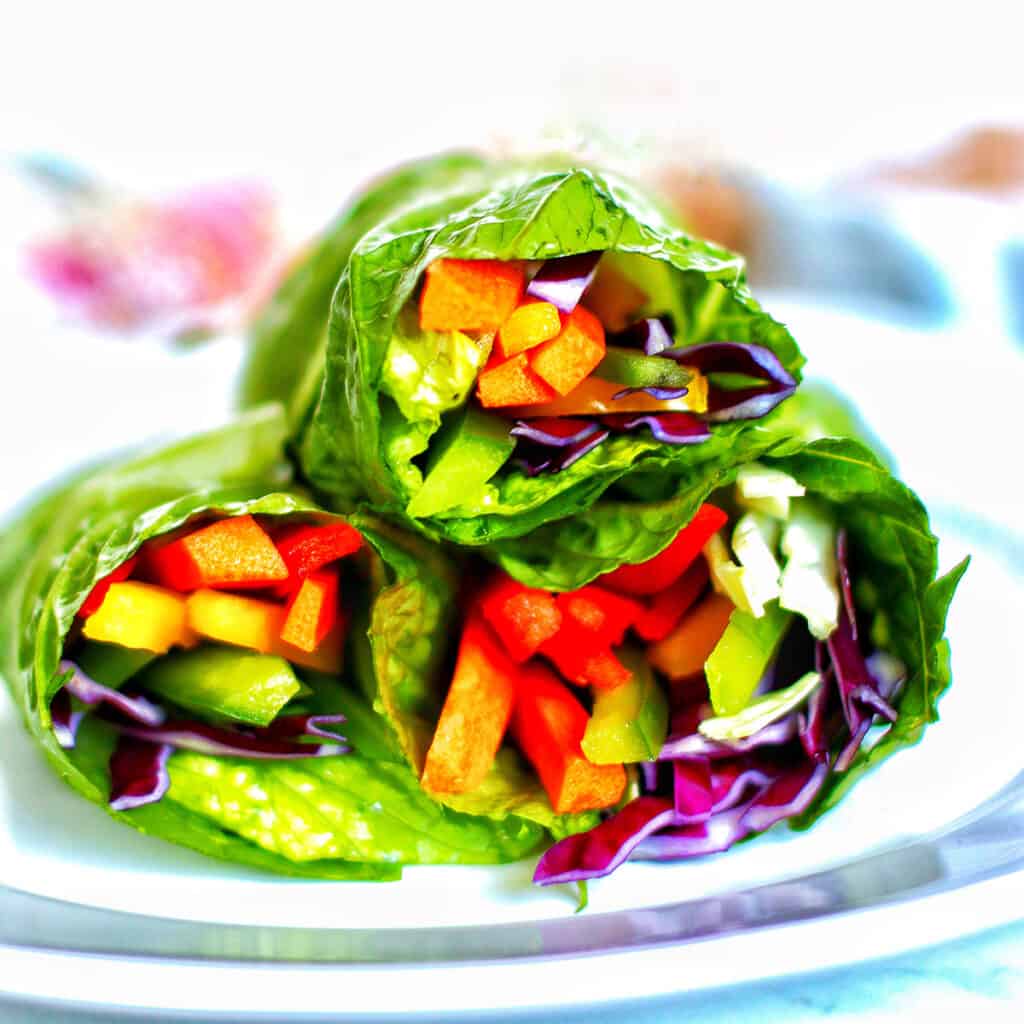 Easy Rainbow Salad Rolls - Urban Bliss Life