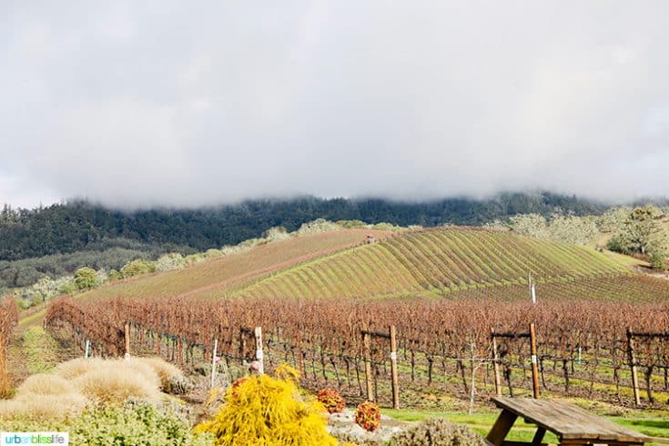 Things to Do in Roseburg Oregon - Urban Bliss Life Travel Guide