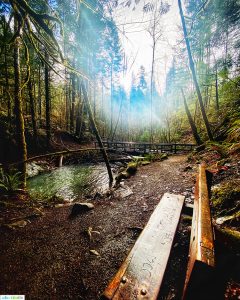 Waterfalls in Southern Oregon: Susan Creek Falls - Urban Bliss Life