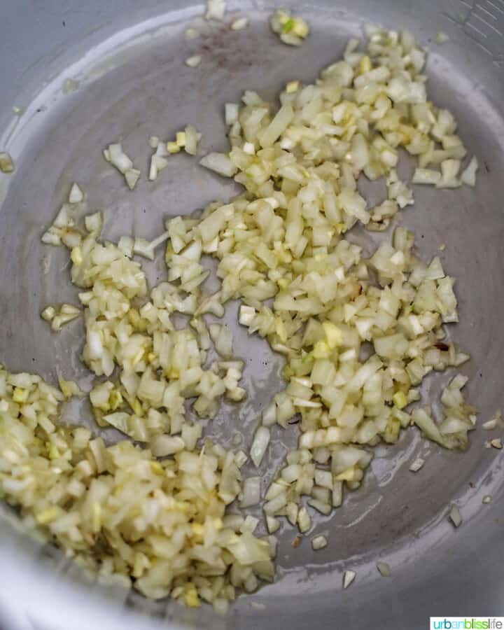 Instant Pot African Peanut Stew recipe - Urban Bliss Life