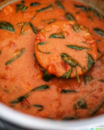 Instant Pot African Peanut Stew recipe - Urban Bliss Life
