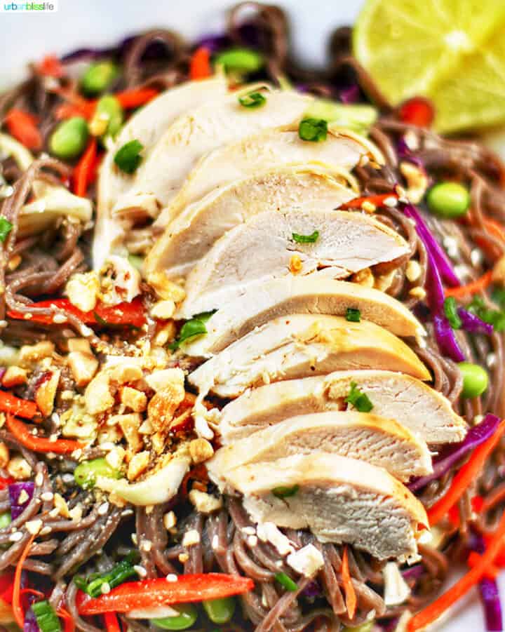 Soba Noodles with Vegetables and Peanut Sauce - Urban Bliss Life