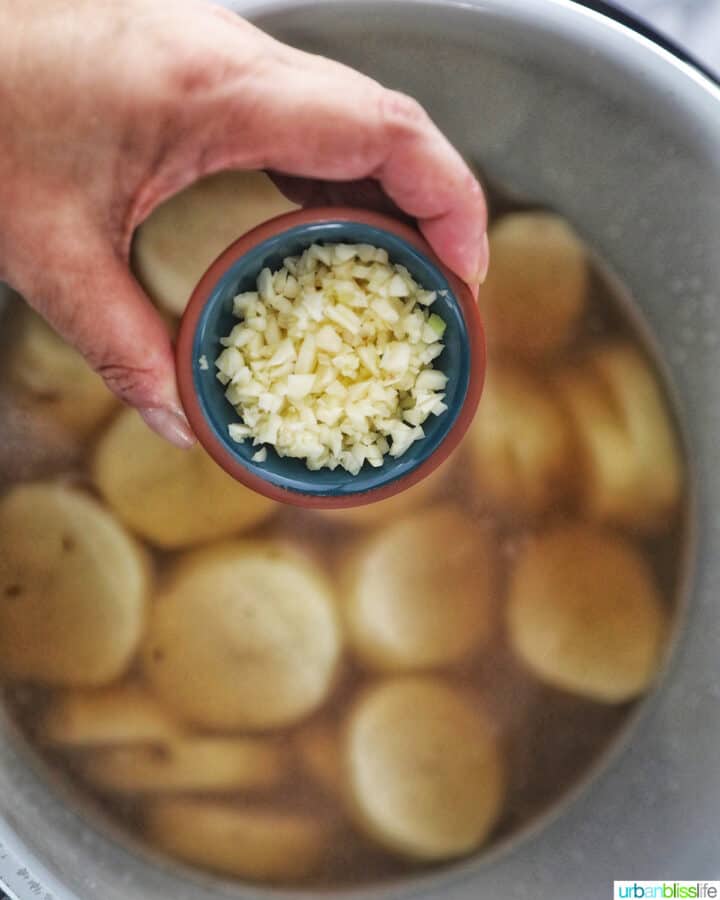 Instant Pot Garlic Mashed Potatoes - Urban Bliss Life