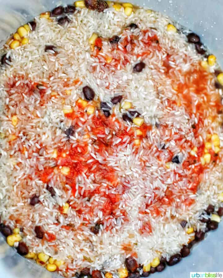 Vegetarian Burrito Bowl (Instant Pot Recipe)