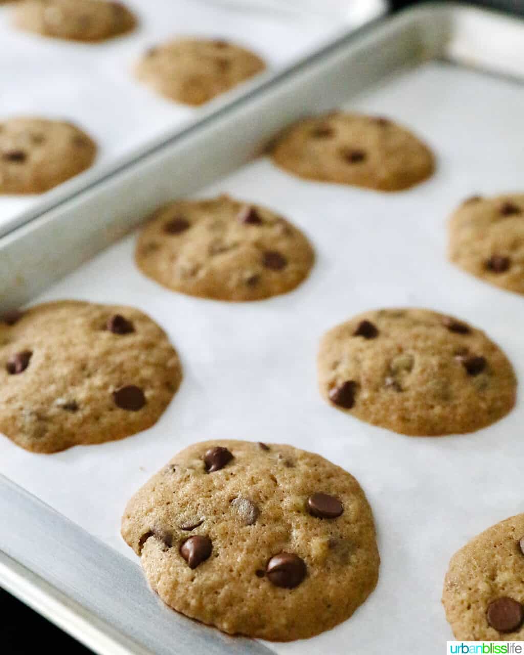 Banana Bread Cookies - Urban Bliss Life