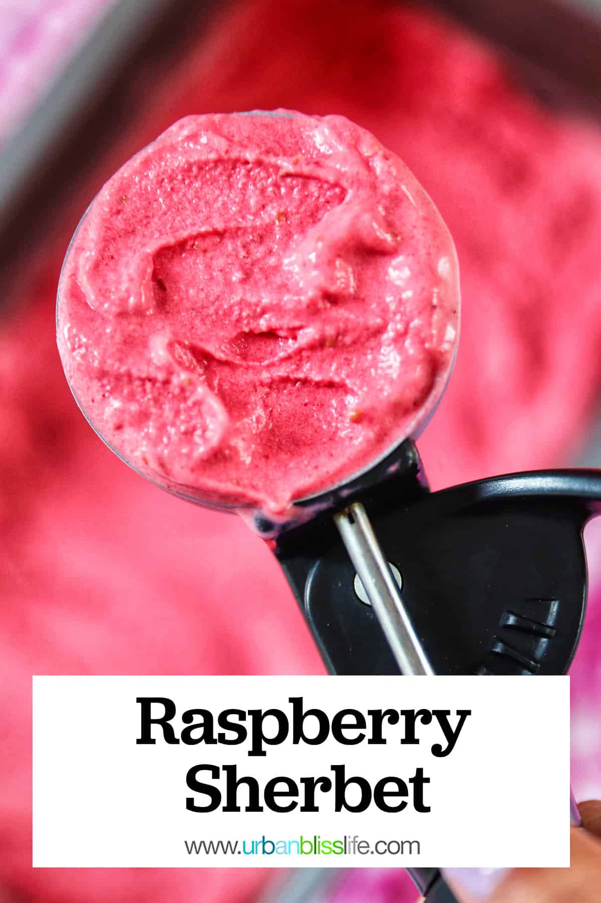 Easy Raspberry Sherbet - Urban Bliss Life