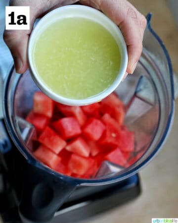 Watermelon Mimosas - Urban Bliss Life