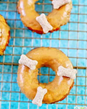 Dog Donuts - Urban Bliss Life