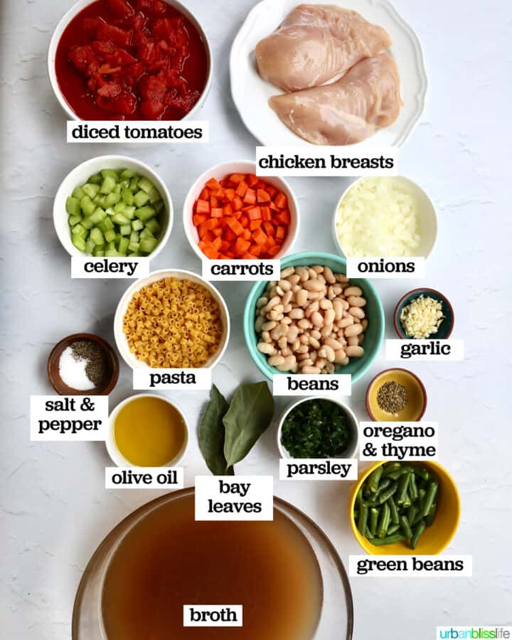 Chicken Minestrone Soup - Urban Bliss Life