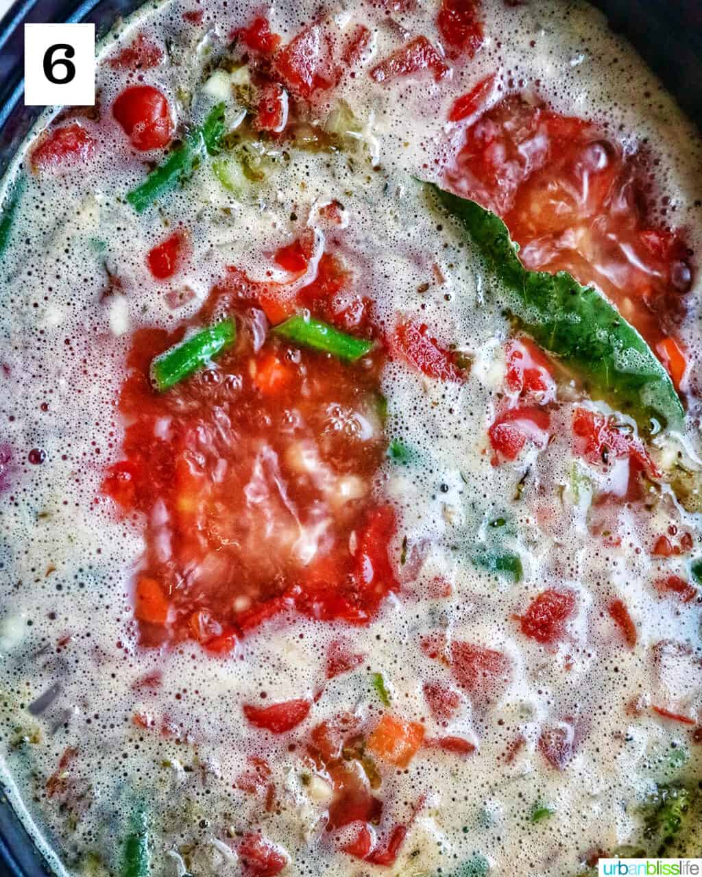 Chicken Minestrone Soup - Urban Bliss Life