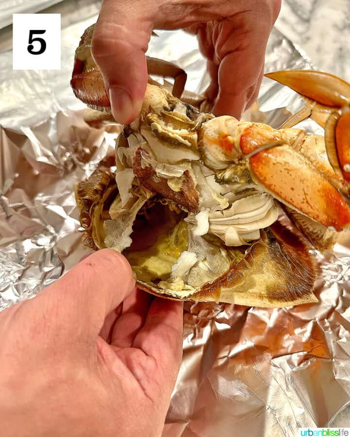 How to Cook Dungeness Crab - Urban Bliss Life