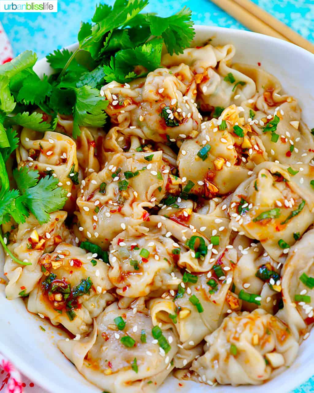 Pork and Shrimp Wonton Recipe - Urban Bliss Life