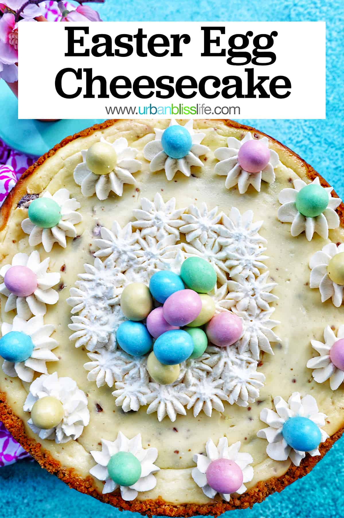 Easter Egg Cheesecake - Urban Bliss Life