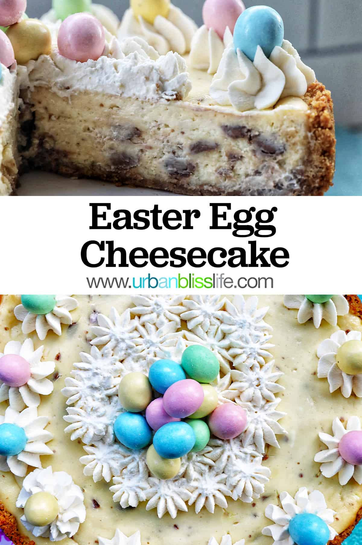 Easter Egg Cheesecake - Urban Bliss Life