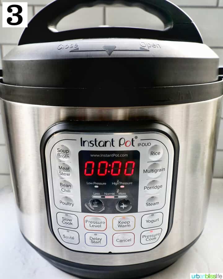 Instant Pot Green Beans - Urban Bliss Life
