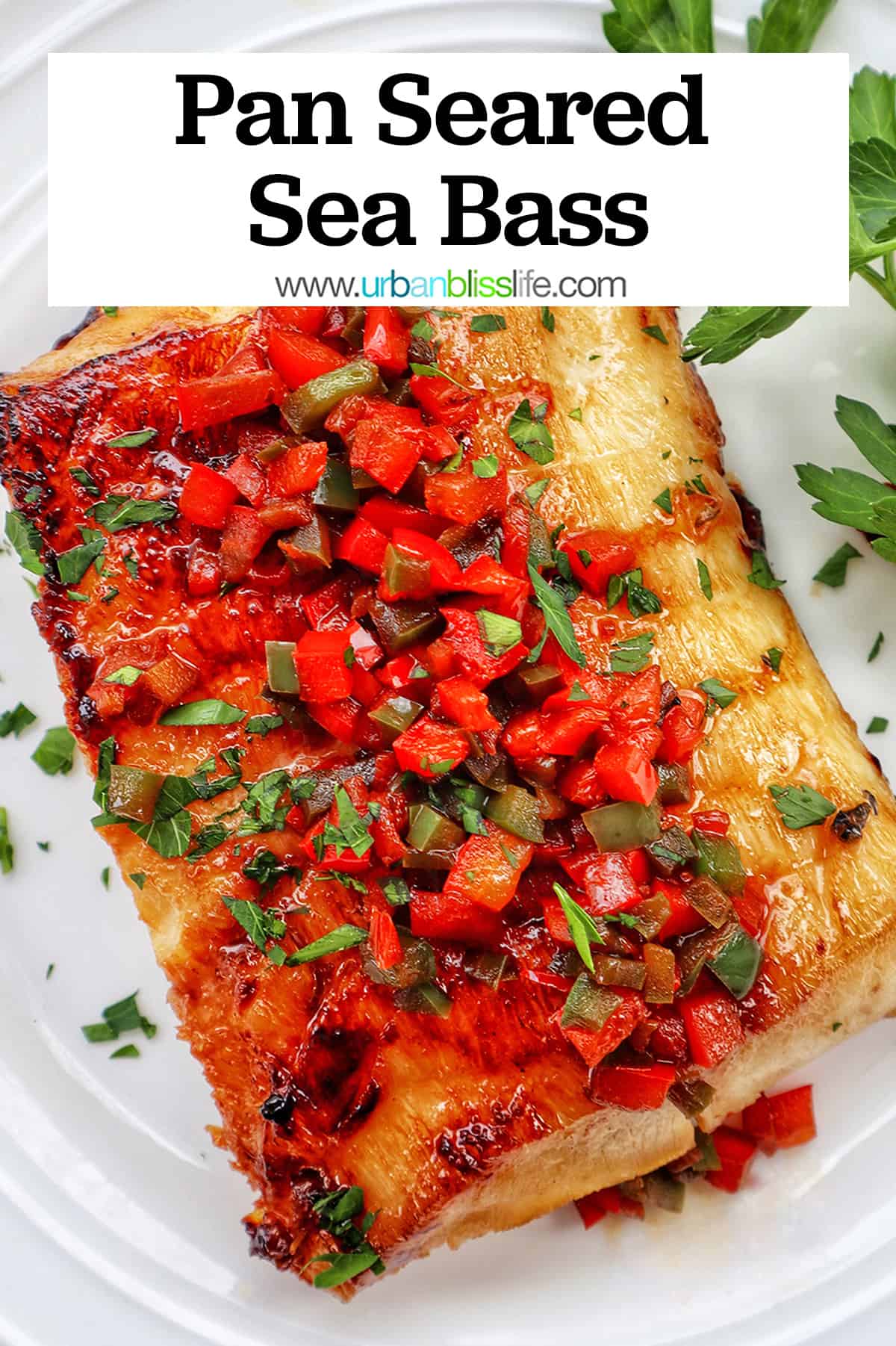 Pan-Seared Sea Bass - Urban Bliss Life