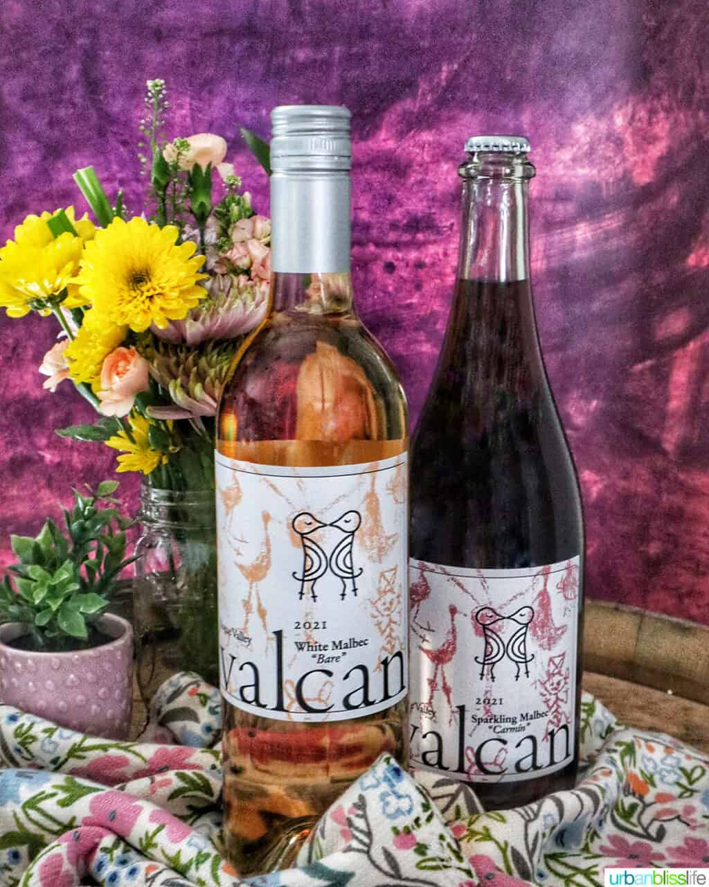 Oregon Malbec - Urban Bliss Life
