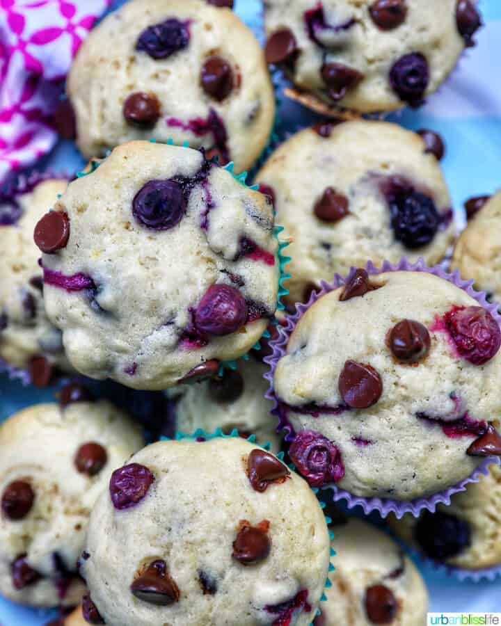 Blueberry Chocolate Chip Muffins - Urban Bliss Life