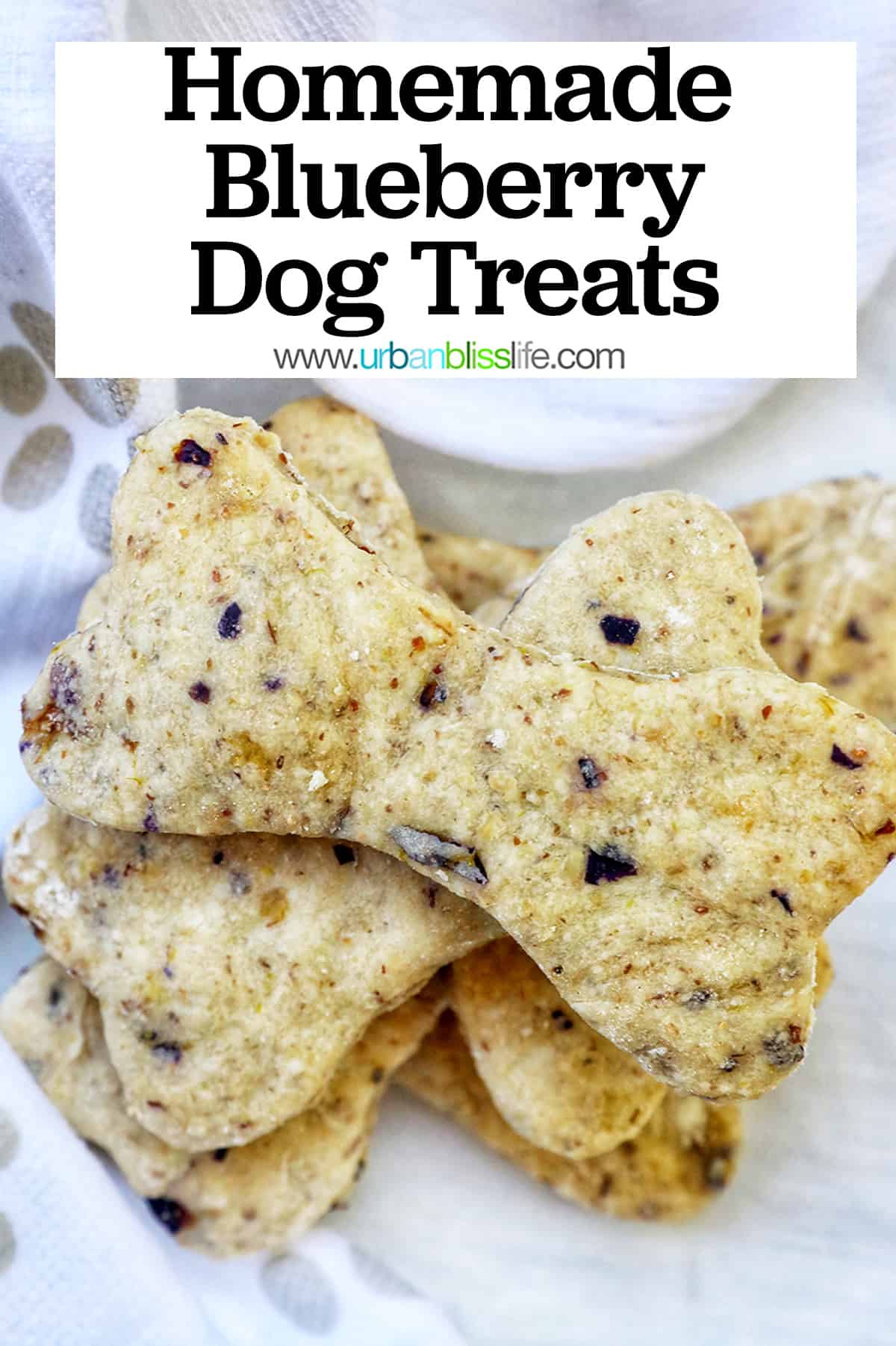 Blueberry Dog Treats - Urban Bliss Life