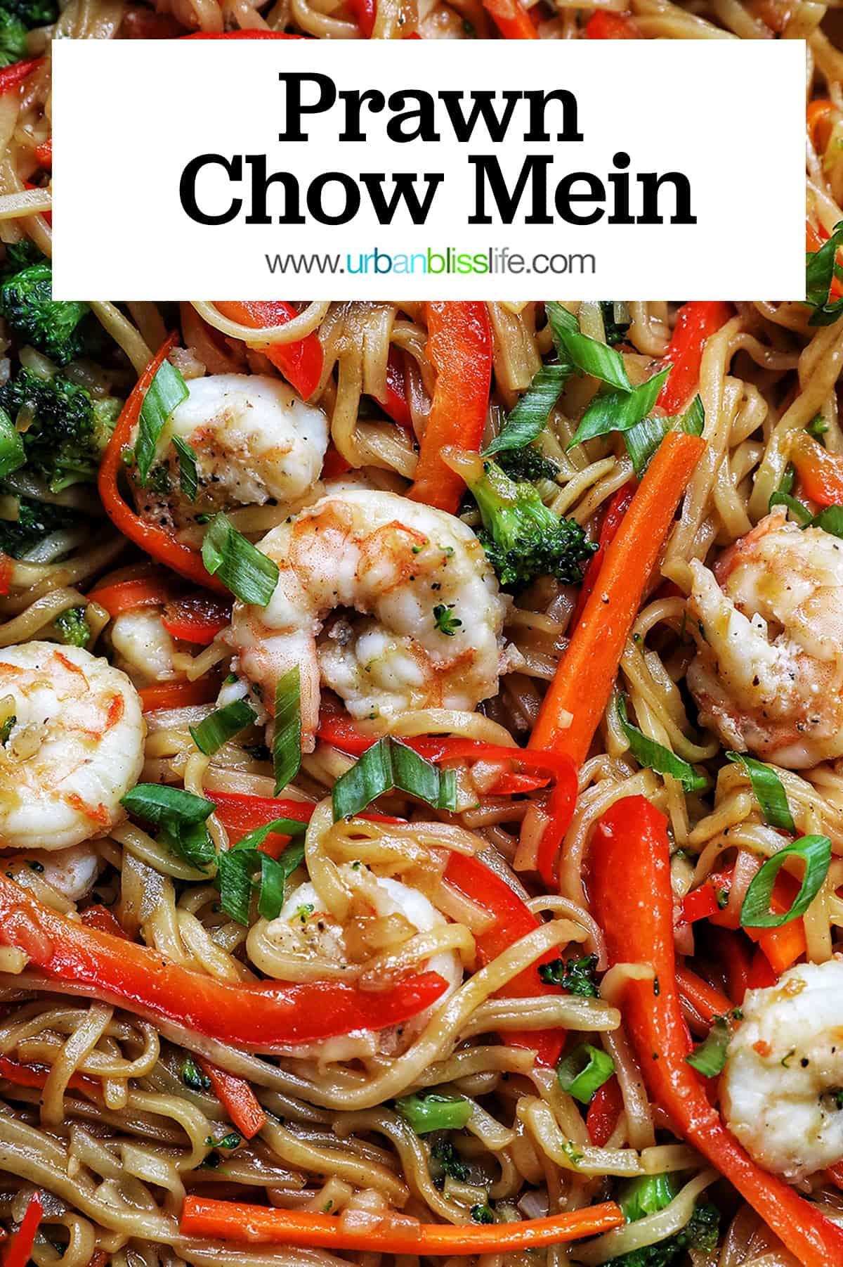 Prawn Chow Mein recipe - Urban Bliss Life