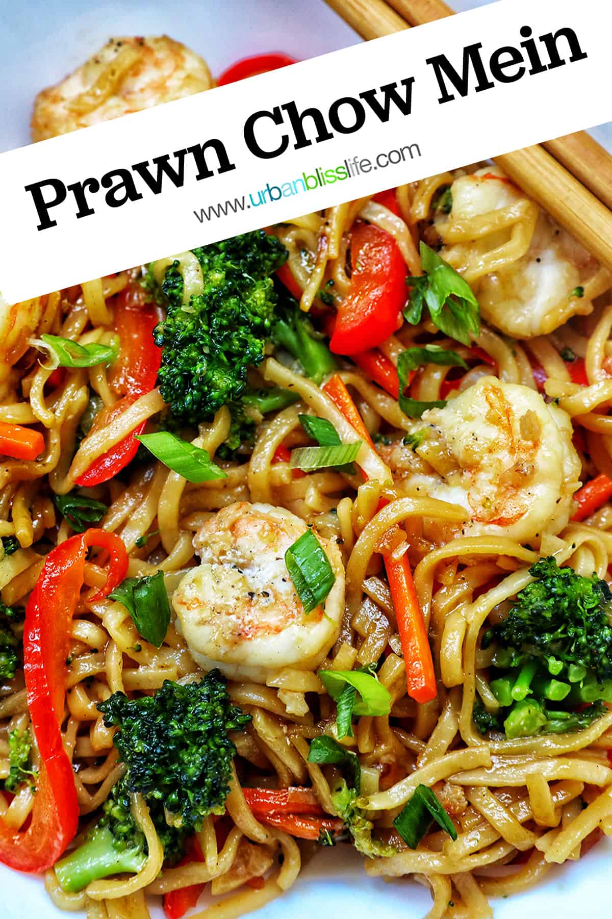 Prawn Chow Mein recipe - Urban Bliss Life