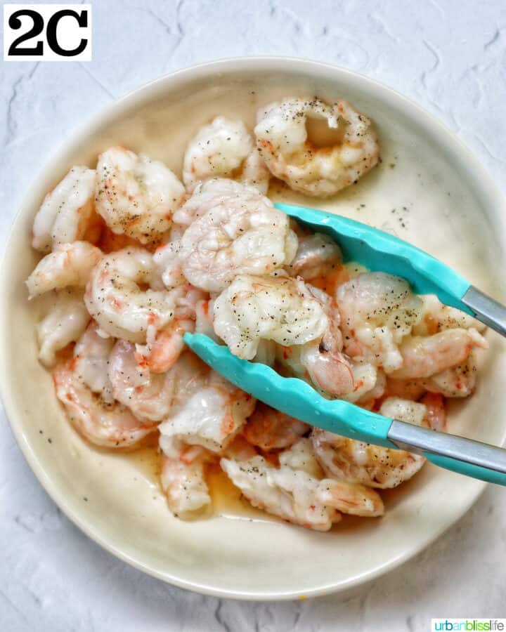 Prawn Chow Mein recipe - Urban Bliss Life
