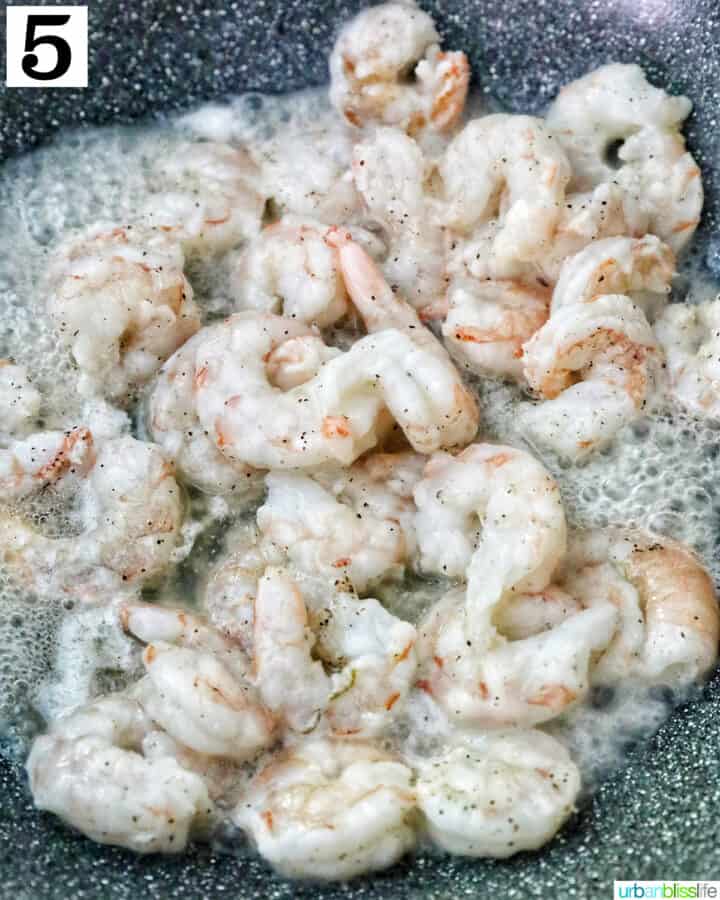 Prawn Chow Mein recipe - Urban Bliss Life