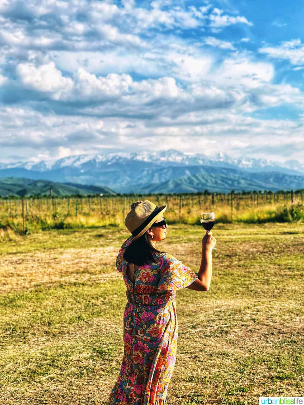 Exploring the Rich Heritage of Kazakhstan Wine: From Ancient Vineyards ...