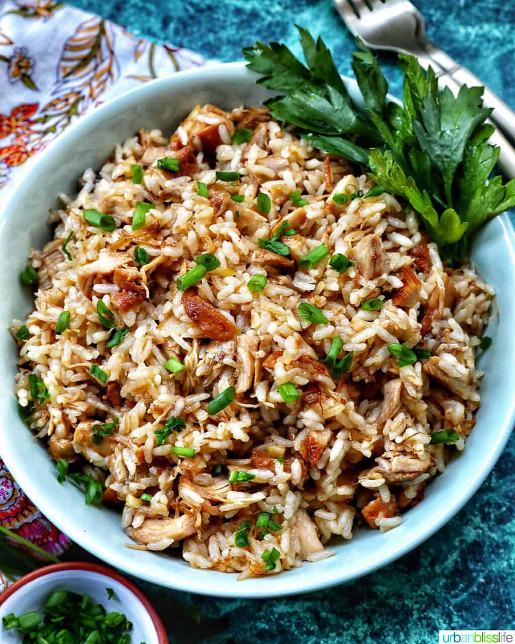 Adobo Fried Rice - Urban Bliss Life