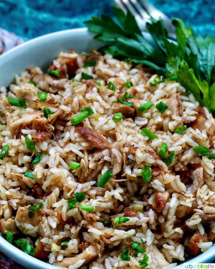 Adobo Fried Rice - Urban Bliss Life