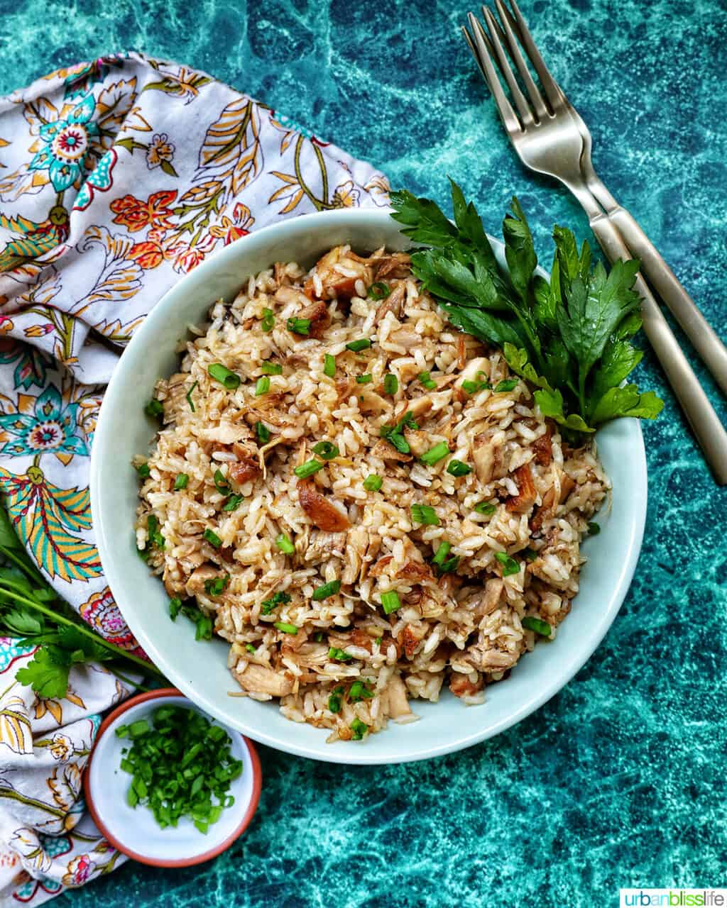 Adobo Fried Rice - Urban Bliss Life