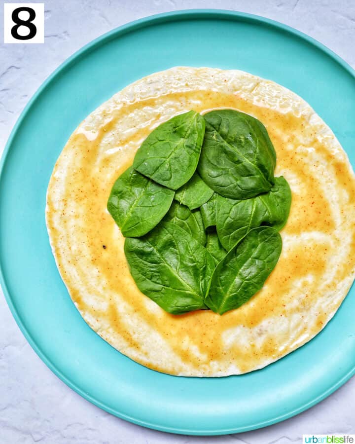 Honey Mustard Chicken Wrap - Urban Bliss Life