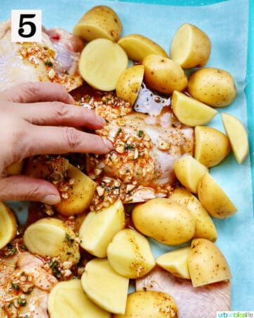 One Pan Chicken and Potatoes - Urban Bliss Life