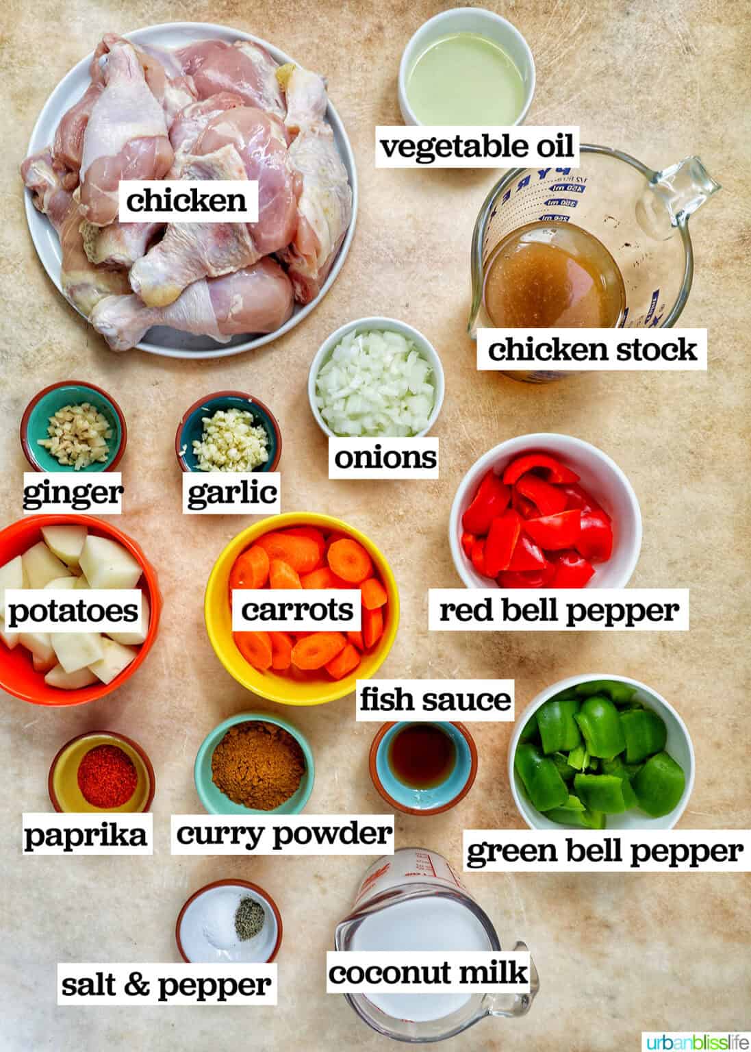 Filipino Chicken Curry - Urban Bliss Life