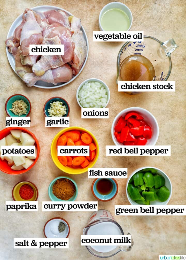 Filipino Chicken Curry - Urban Bliss Life