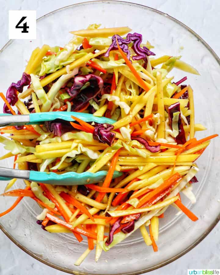 Mango Slaw - Urban Bliss Life