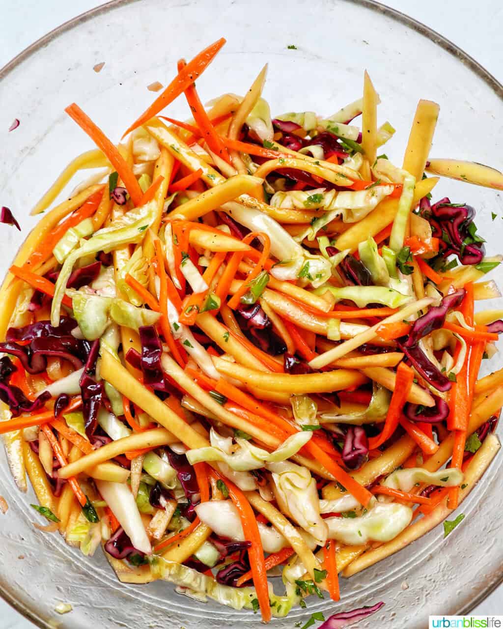 Mango Slaw - Urban Bliss Life