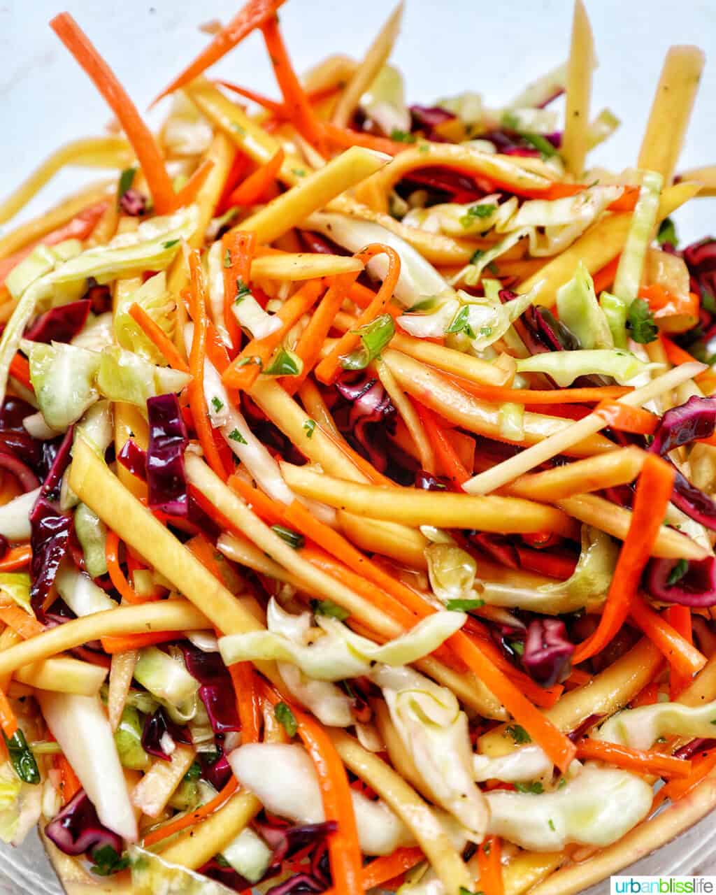 Mango Slaw - Urban Bliss Life
