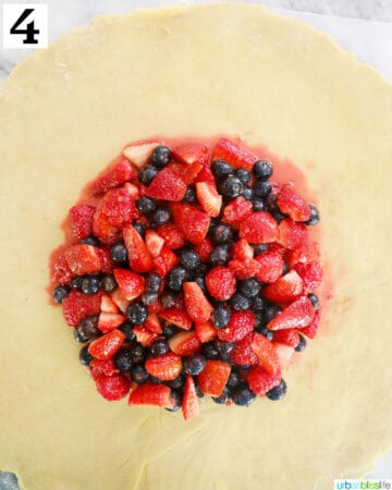 Mixed Berry Galette - Urban Bliss Life
