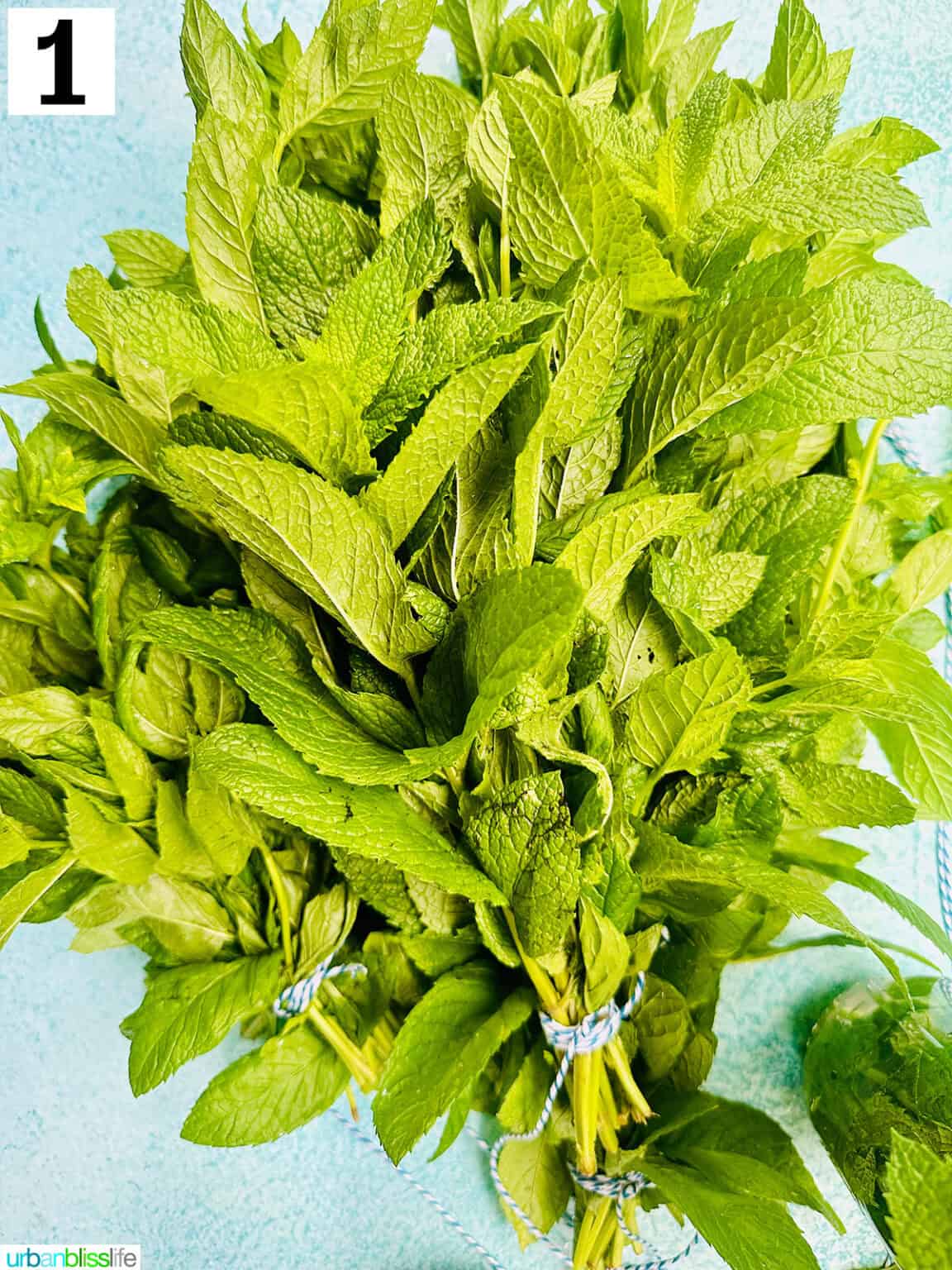 Drying Mint Leaves - Urban Bliss Life