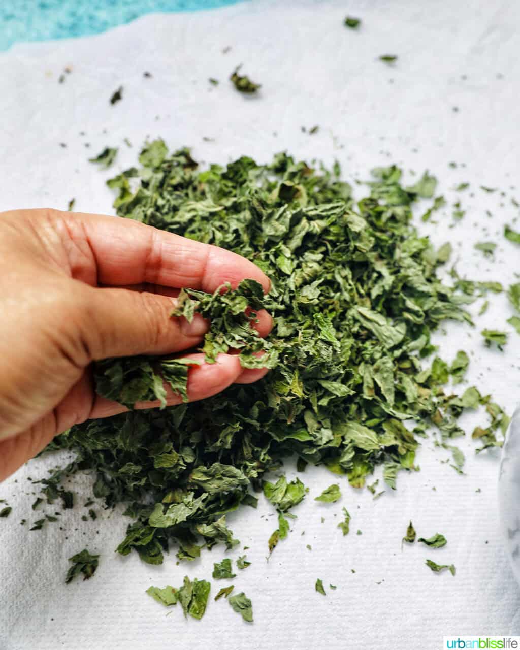 Drying Oregano - Urban Bliss Life
