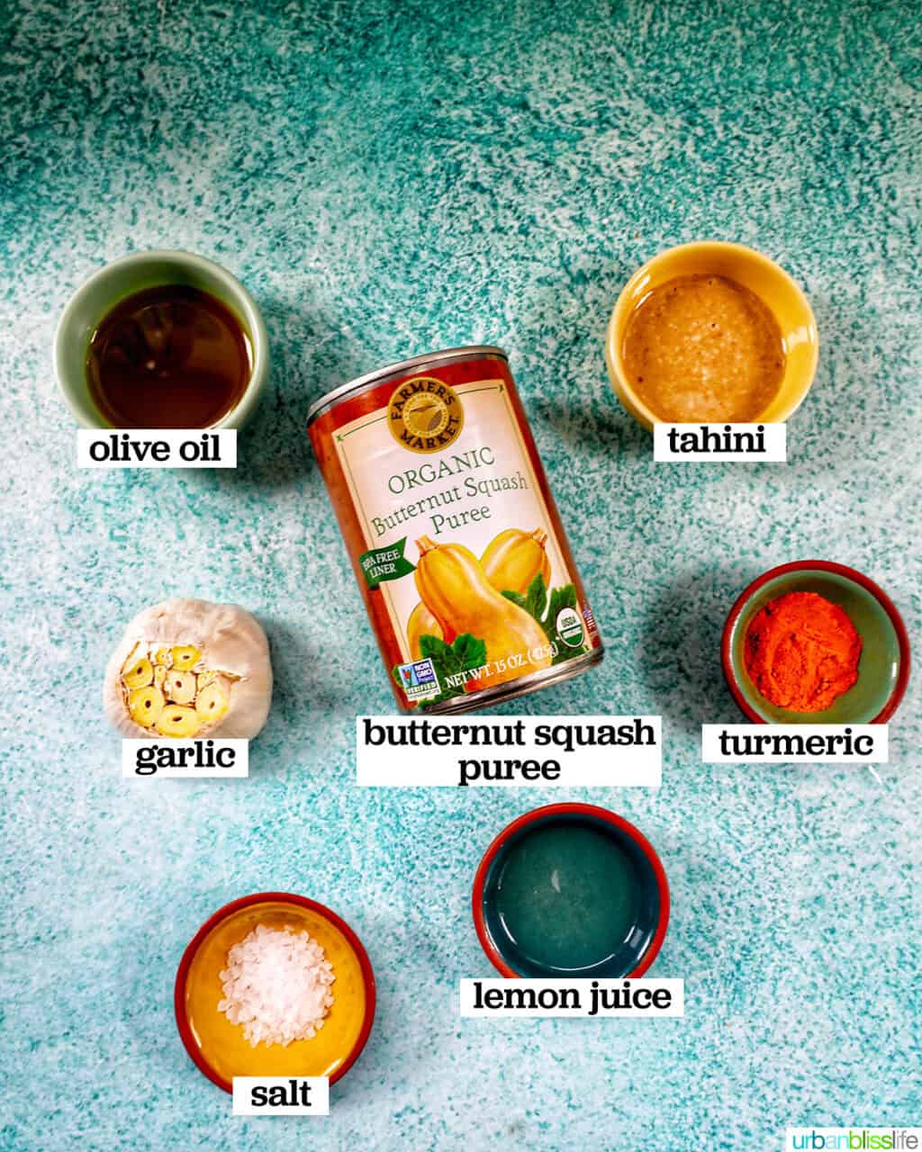 Butternut Squash Dip with Roasted Garlic - Urban Bliss Life