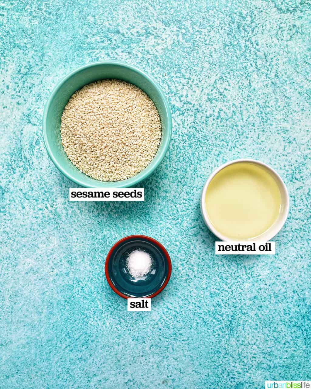 How to Make Tahini From Scratch - Urban Bliss Life