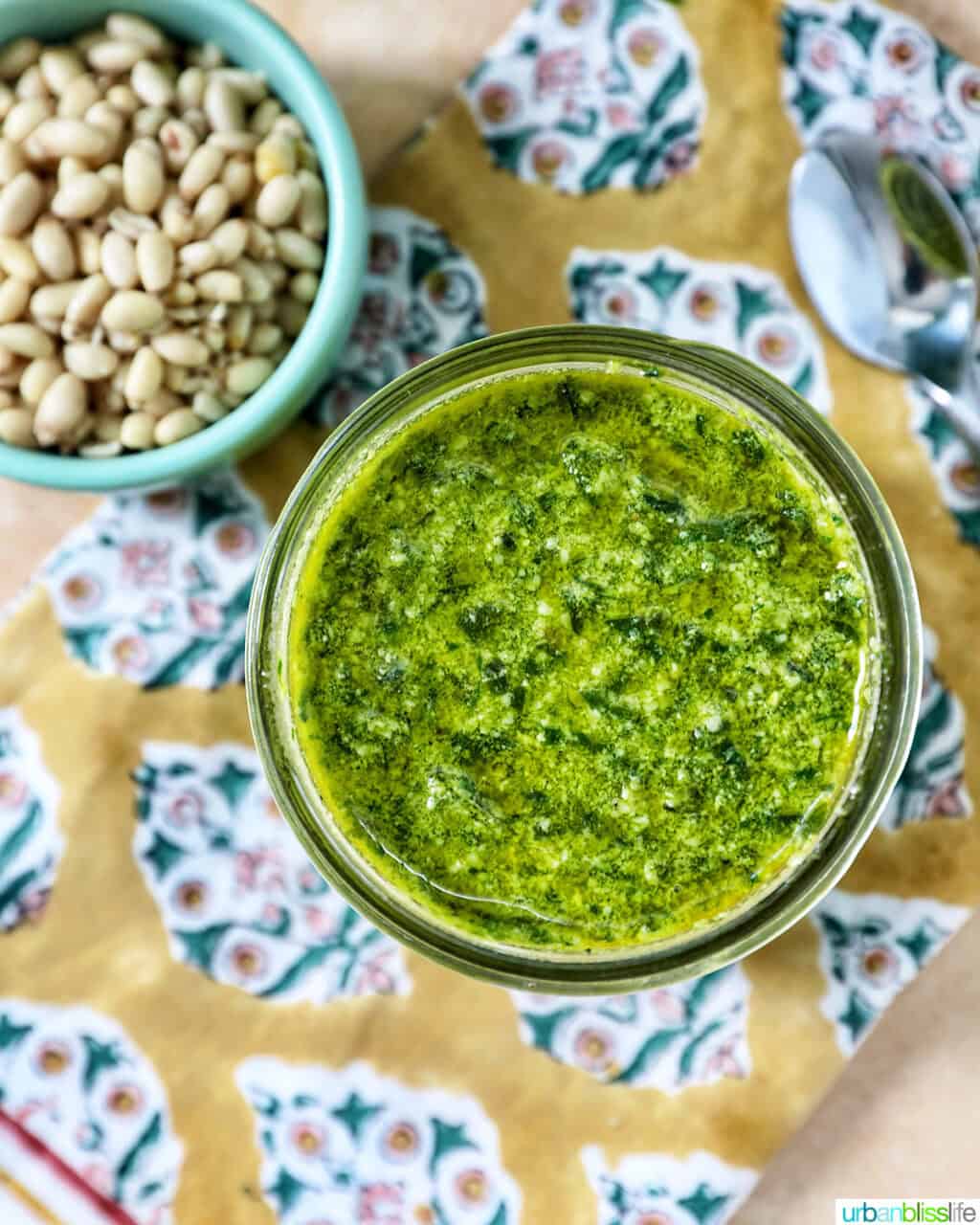 Fresh Basil Pesto Recipe - Urban Bliss Life