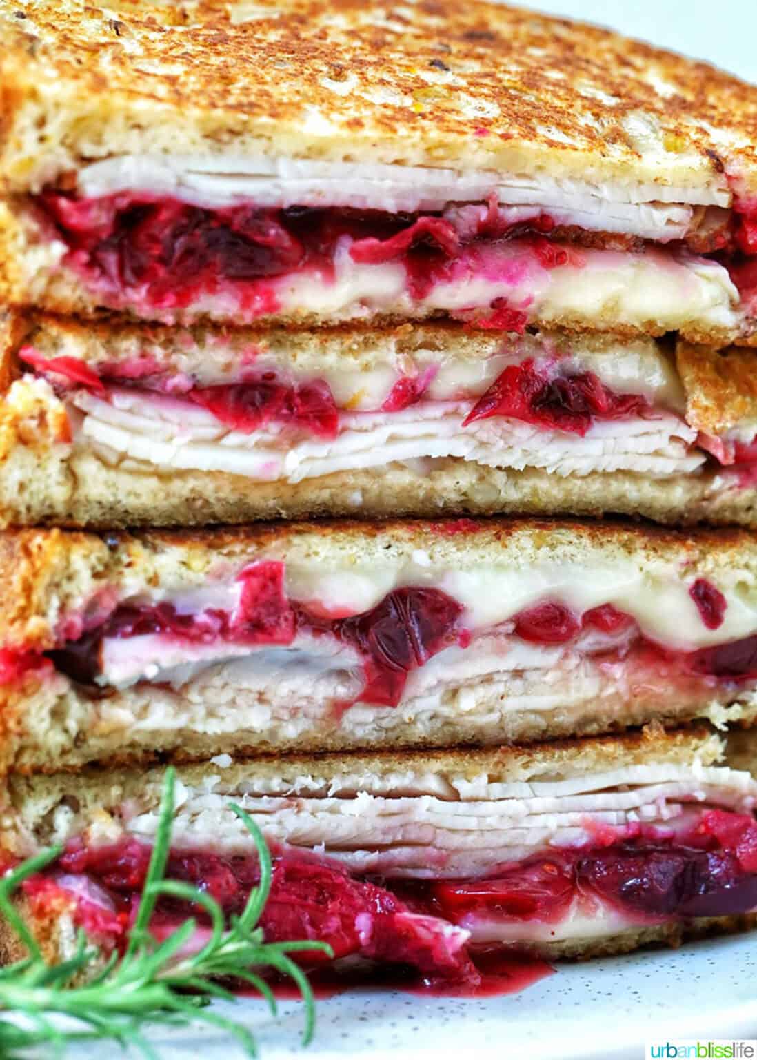 Turkey Cranberry Brie Sandwich - Urban Bliss Life