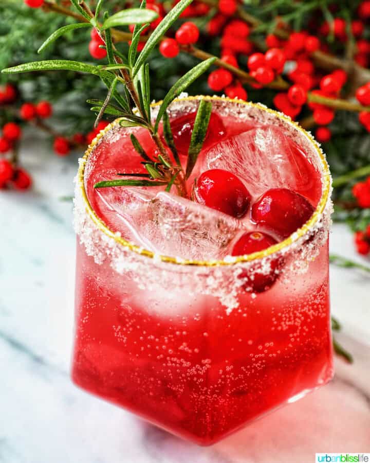 Easy Cranberry Mocktail recipe - Urban Bliss Life